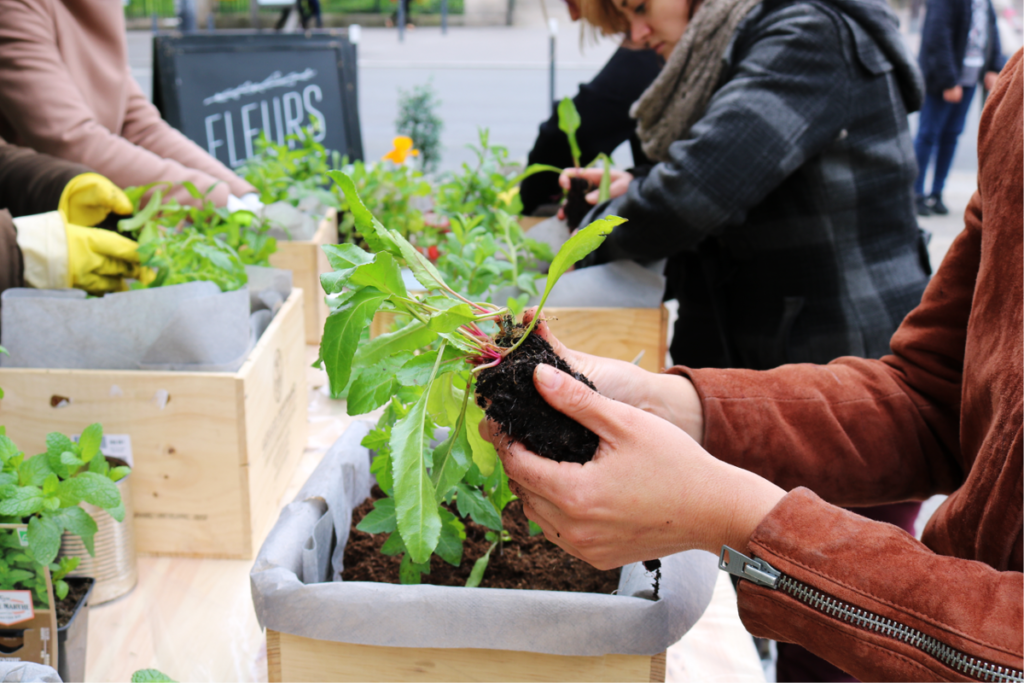 Types d'ateliers jardinage en entreprise - IDF - Plantologie urbaine